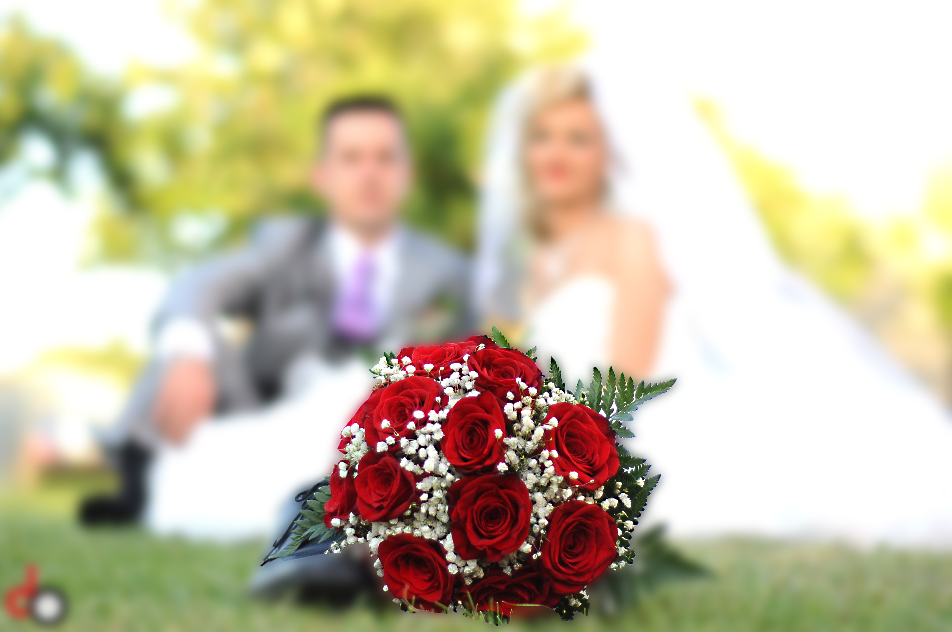 Dasma më e lirë e vitit 2020 - Albinfo