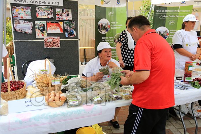 Ushqime tradicionale për shqiptarët në Bruksel - Albinfo