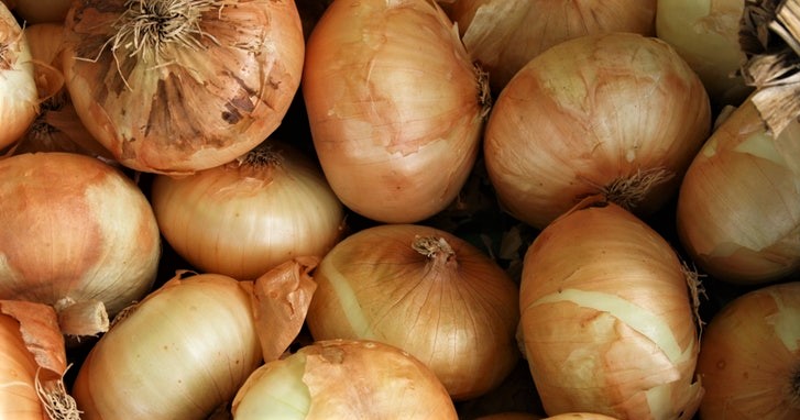 Qepa, vlerat ushqyese të saj - Albinfo