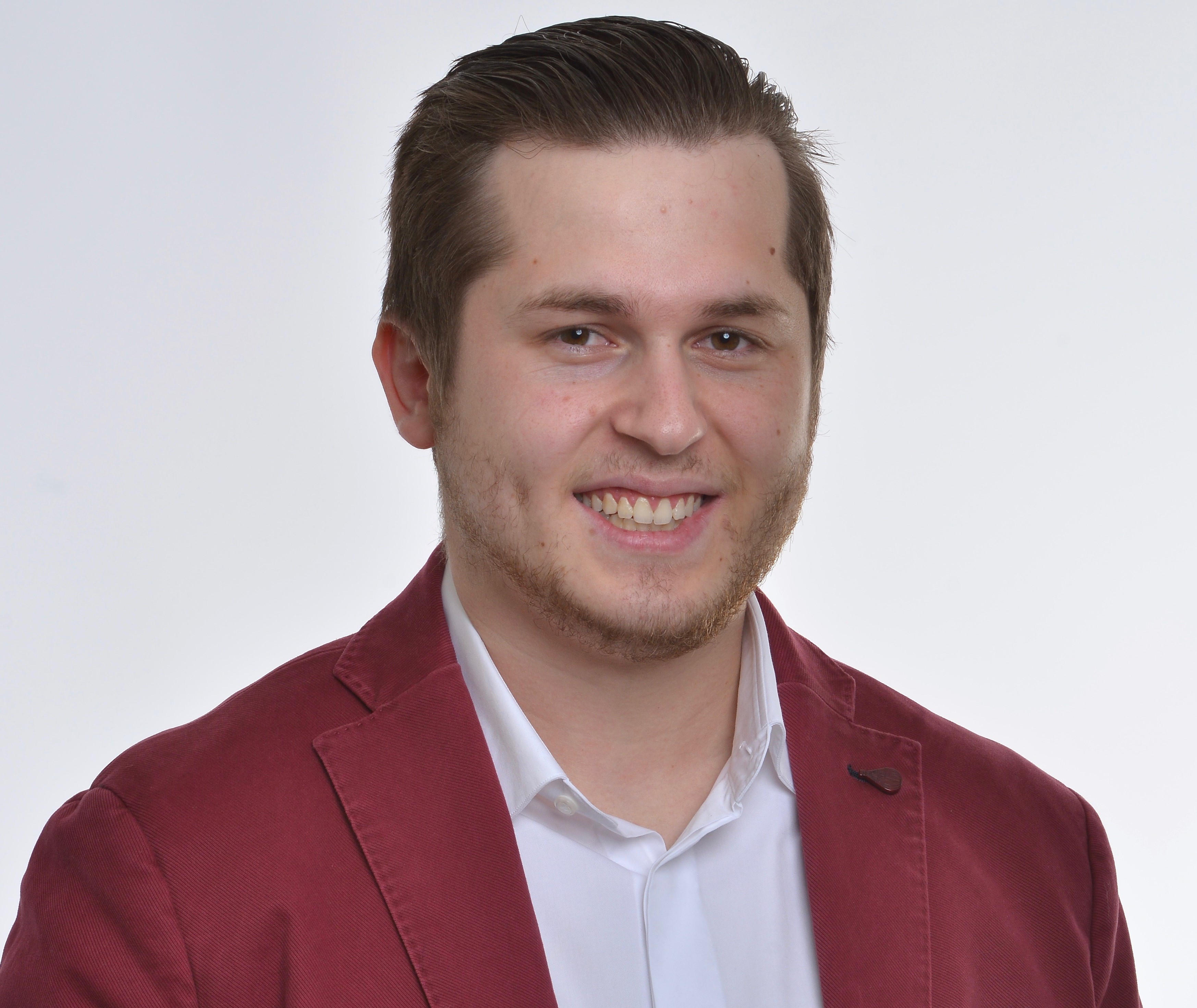 Richtungsweisende Wahlen - Albinfo