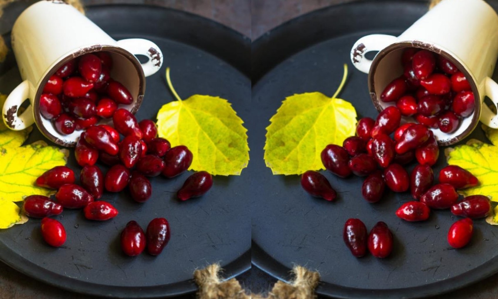 Njihuni me vlerat ushqyese të thanave - Albinfo