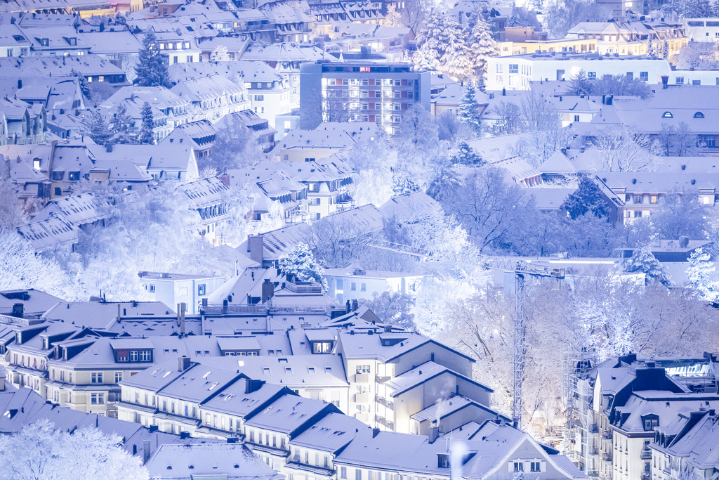 Acari ‘kaplon’ Zvicrën - Albinfo